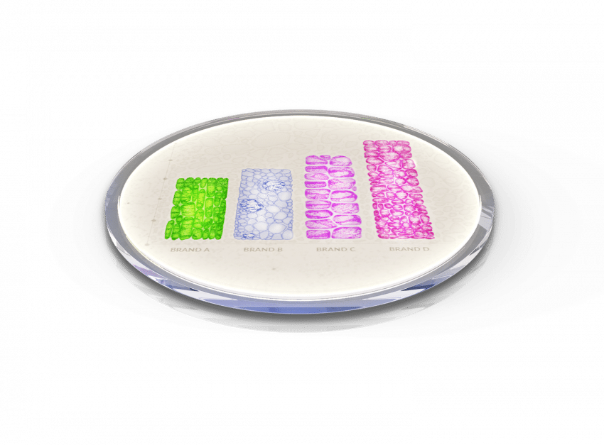 The Key to Effective Omnichannel Marketing: HCP Segmentations ...