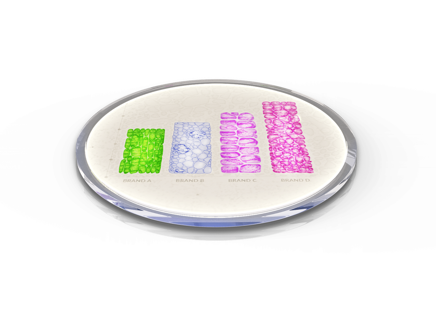 The Key to Effective Omnichannel Marketing: HCP Segmentations ...